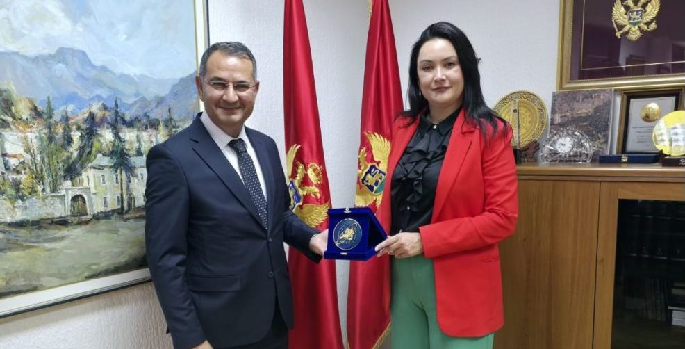 Enhancing cooperation with Montenegro - Southeast European Law ...
